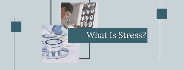 What Is Stress? Why Stress Happens & How To Deal With It – Sijo